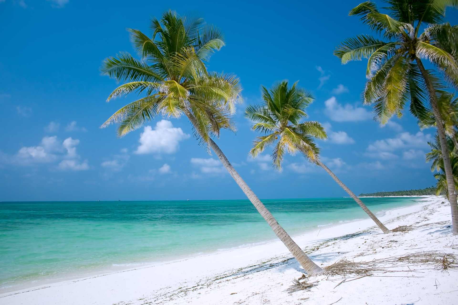 Malajsie - informace o destinaci | CK Livingstone