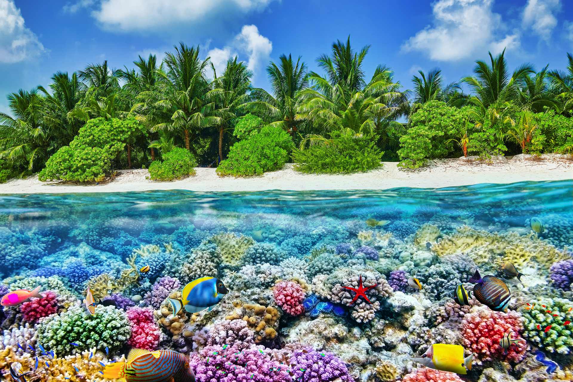 Tonga - informace o destinaci | CK Livingstone