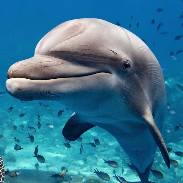 Cookovy ostrovy - informace o destinaci | CK Livingstone