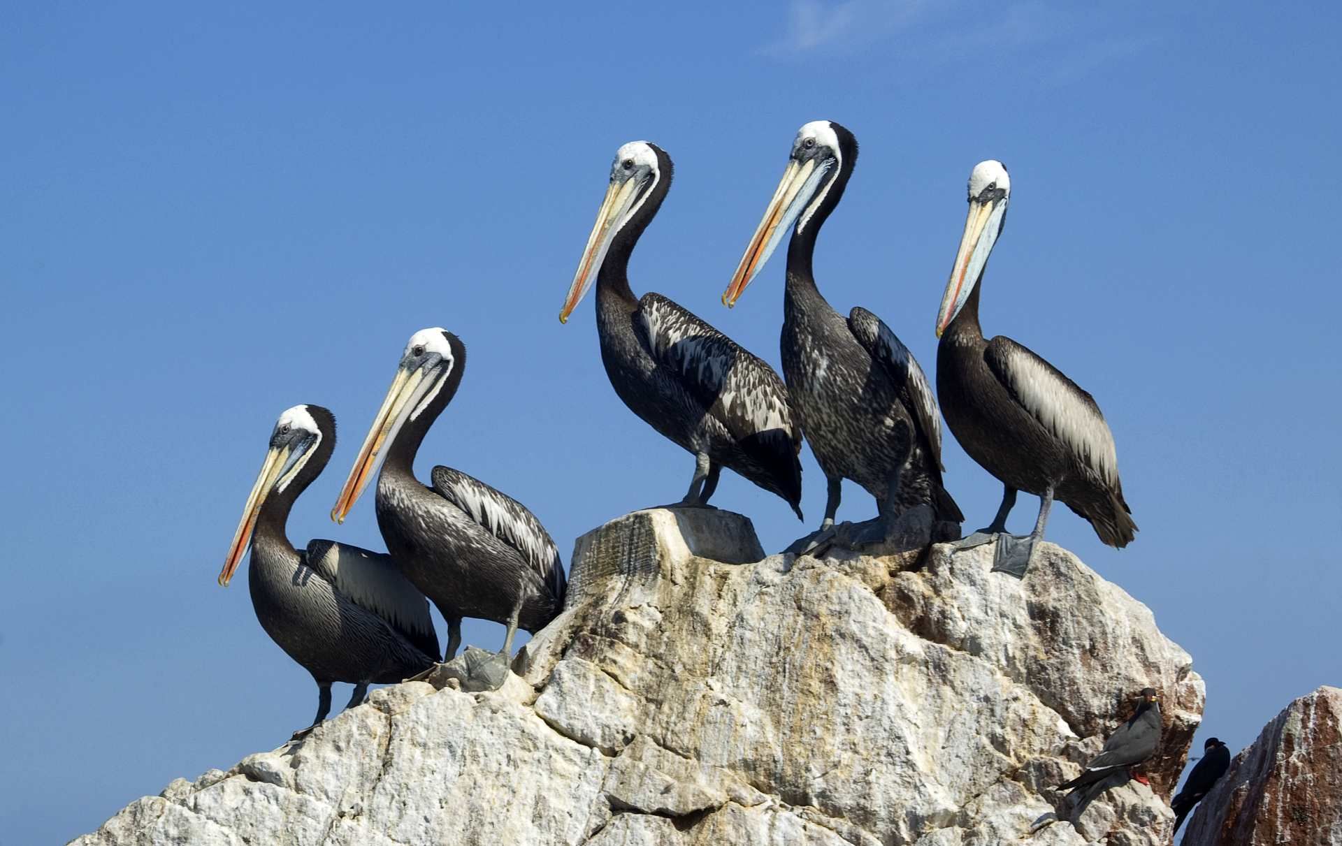 Peru - Bolívie - zájezd | CK Livingstone