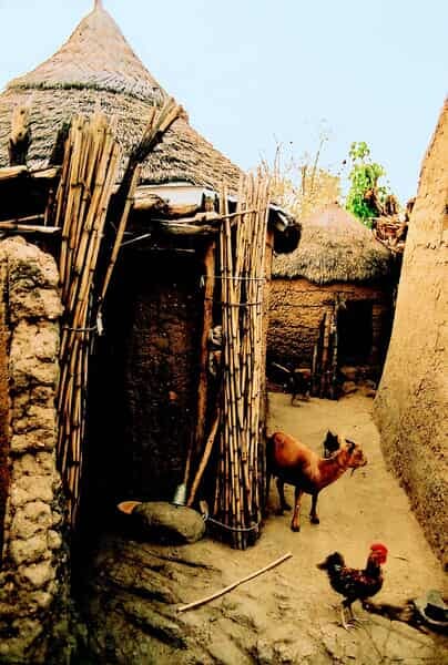 Kamerun - informace o destinaci | CK Livingstone