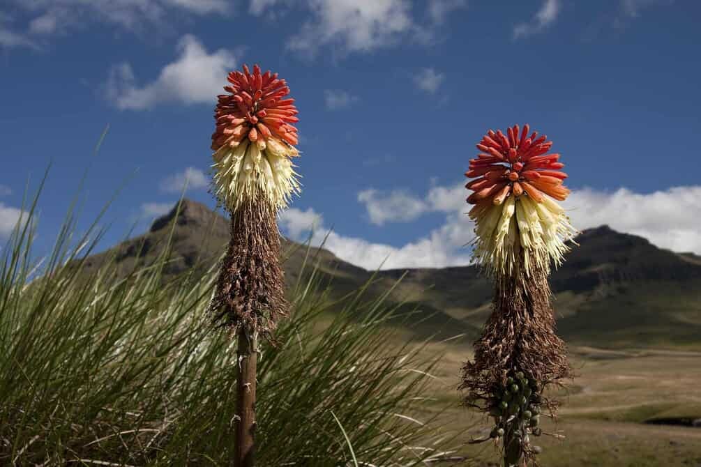Lesotho - informace o destinaci | CK Livingstone