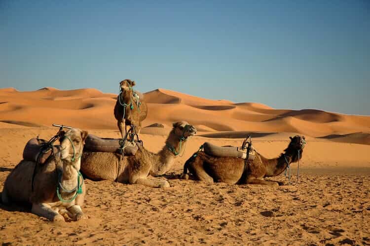 Maroko - informace o destinaci | CK Livingstone