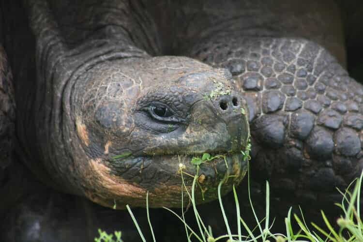 Galapágy - informace o destinaci | CK Livingstone