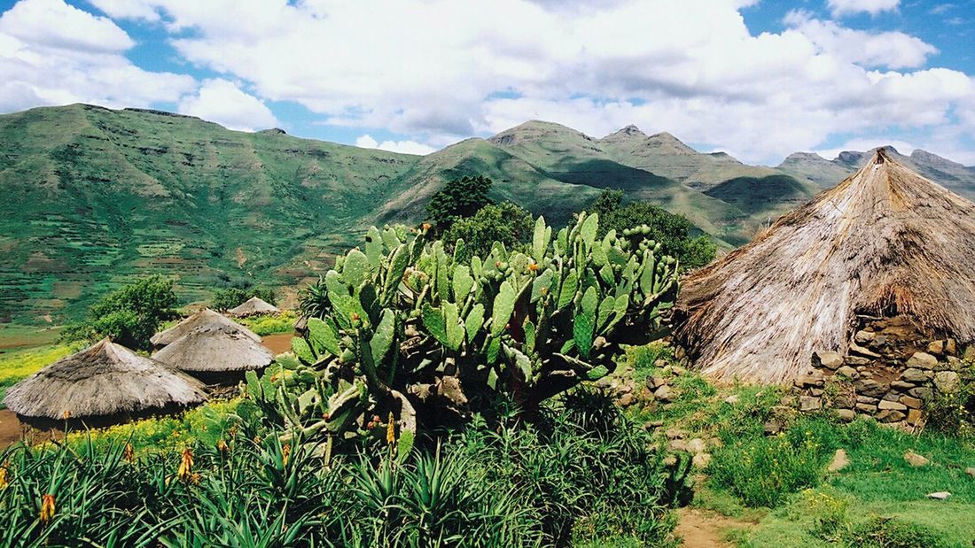 Kamerun - poznávací zájezdy | CK Livingstone