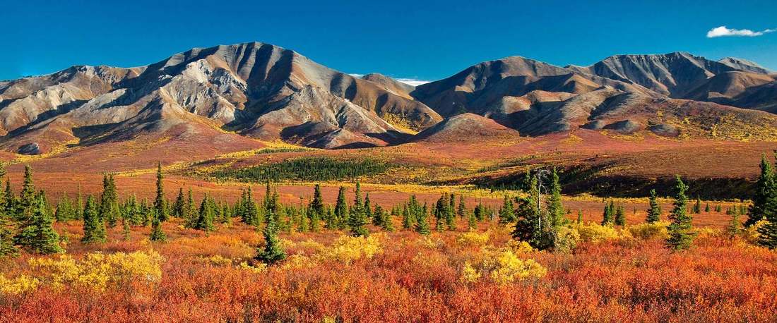 Amerika - informace o destinaci | CK Livingstone